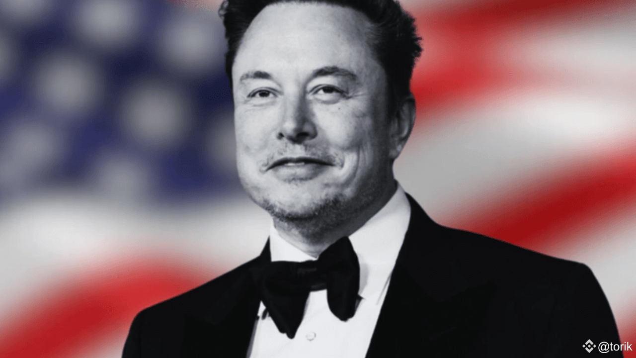 Elon Musk and the 'Department of Government Efficiency': The $2 ...