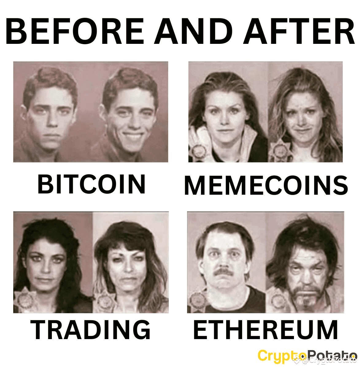 True? | CryptoPotato on Binance Square