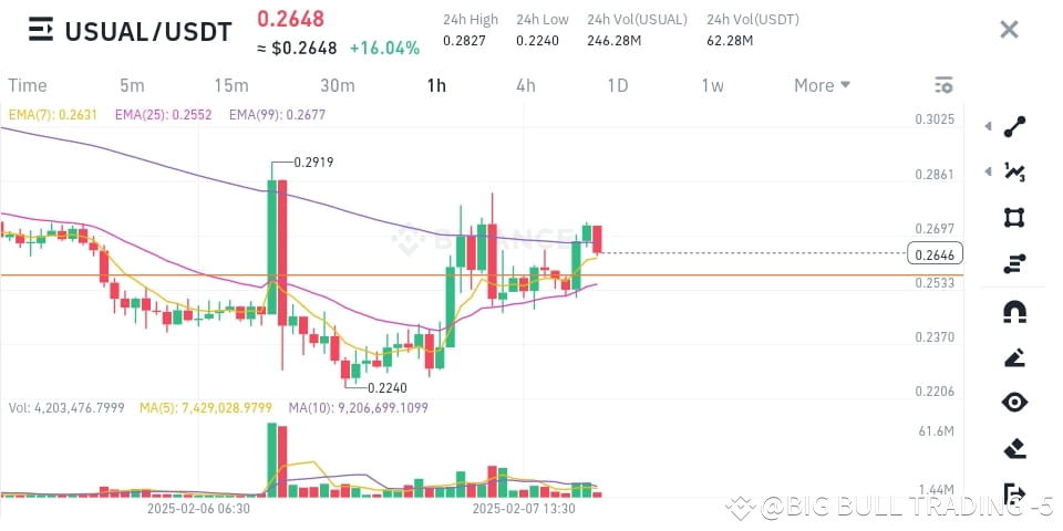 Analysis of USUAL/USDT Chart Full Details Timeframe: 1H $ | BIG BULL ...