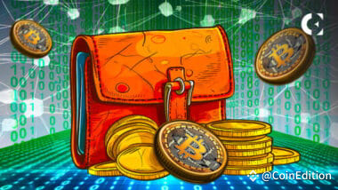 CryptoRank Lists Top Bitcoin Wallets Holding Over 5% of Total BTC ...