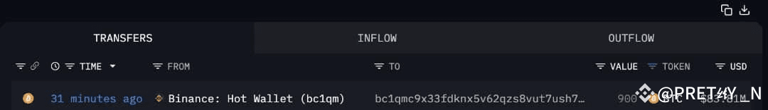 🚨 Whale Alert: 900 BTC Withdrawn from Binance – What Does T | PRETTY _N ...