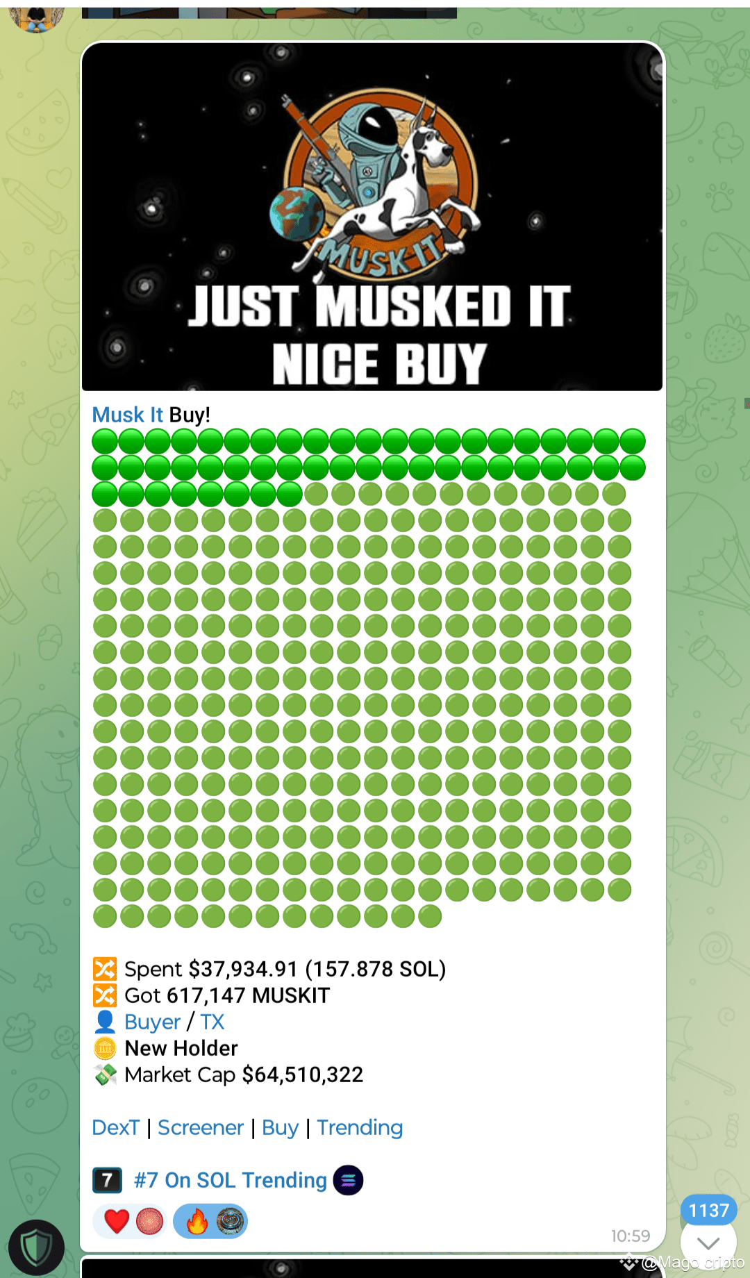 You who lost $TRUMP don't miss this token #MuskIt father o | Mago ...