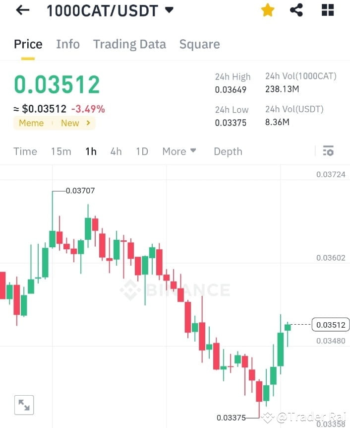 $1000CAT /USDT Trading Signal – Bounce in Play Entry Zone: | Trader Rai on Binance Square