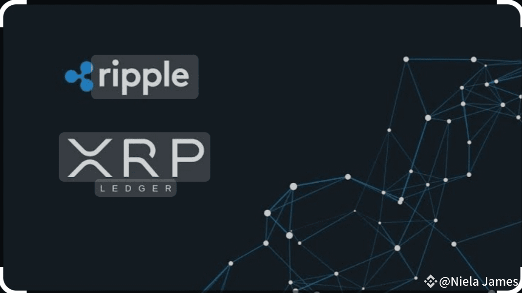 XRP Price Forecast for 2025: Could $20k Be Within Reach? 💼 $XRP ...