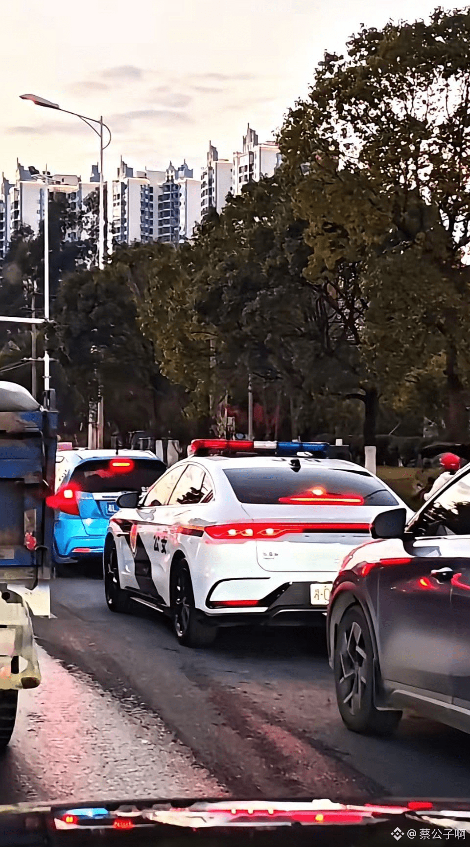 BYD Han, a pinnacle masterpiece of electric vehicle design. | 蔡公子啊 on ...