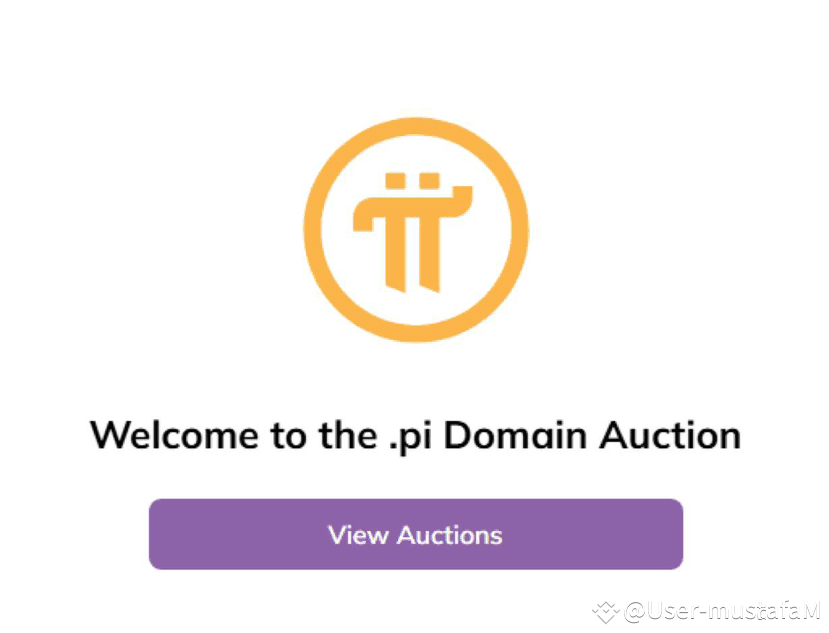 Pioneers are turning to "speculation" on .PI domains. With | Pi-mustafa ...
