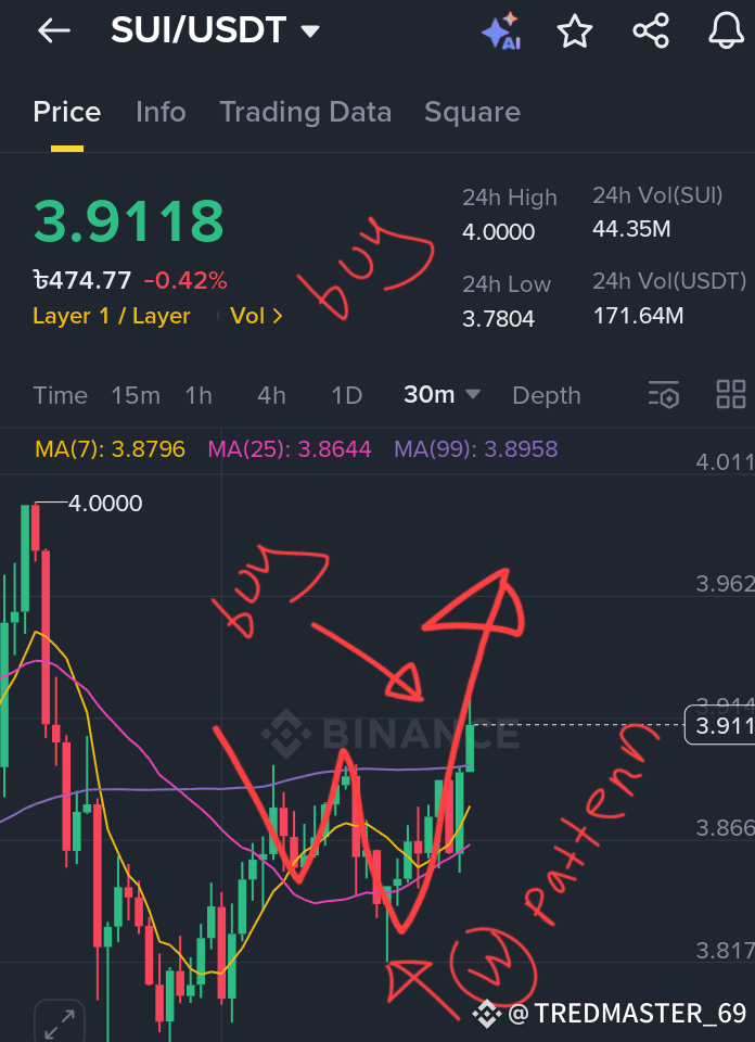 $SUI SUI Shapes the Perfect W 🌊⚡ | Whales Position for Bre | TREDMASTER ...