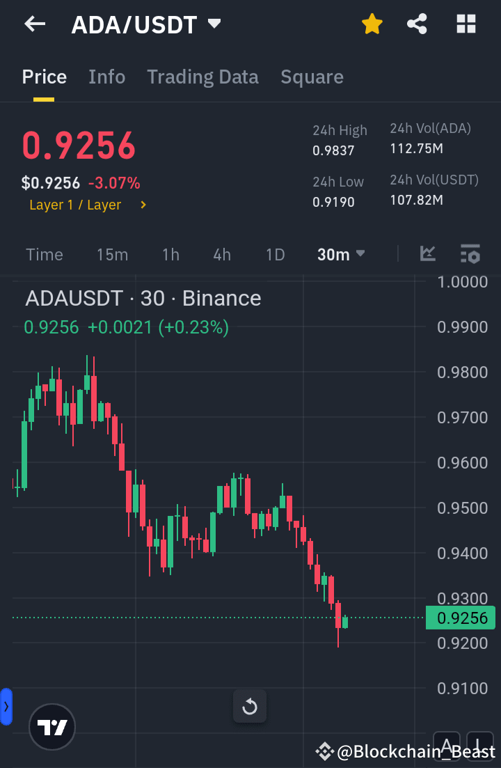 $ADA /USDT Short Trade Signal!🔥💯 Hurry Up! Take Profit No | Blockchain_Beast on Binance Square