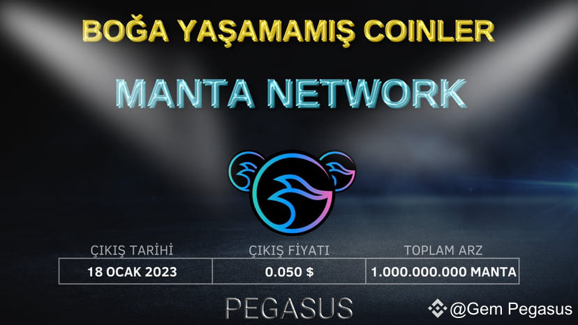 Manta Network offers a modular blockchain infrastructure for | Gem ...