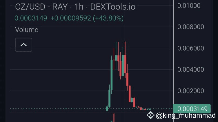 Meme Tokens and Scams | king_muhammad on Binance Square