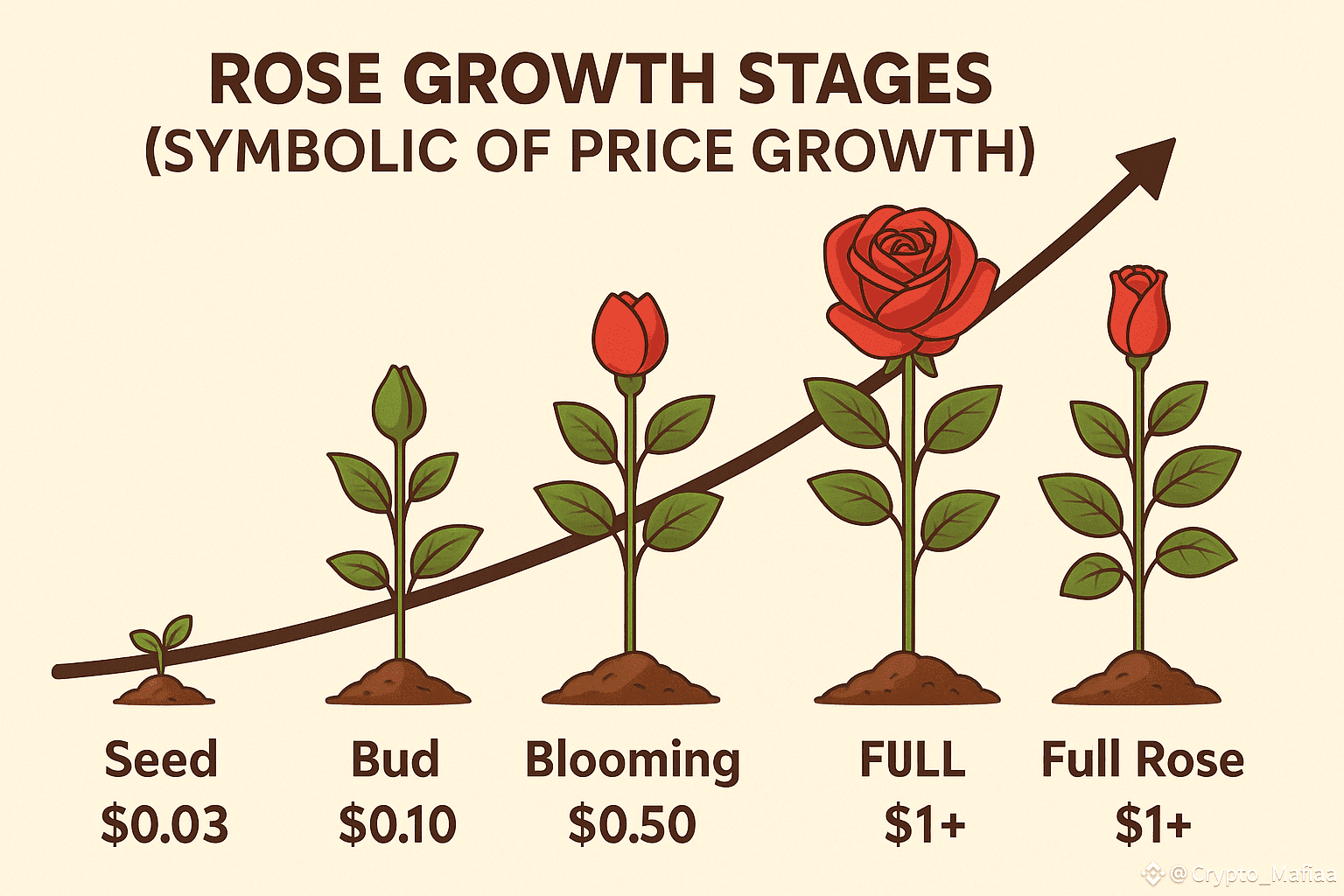 🌹$ROSE is Not Just a Coin — It's a Growing Revolution! 🌱 | Crypto ...