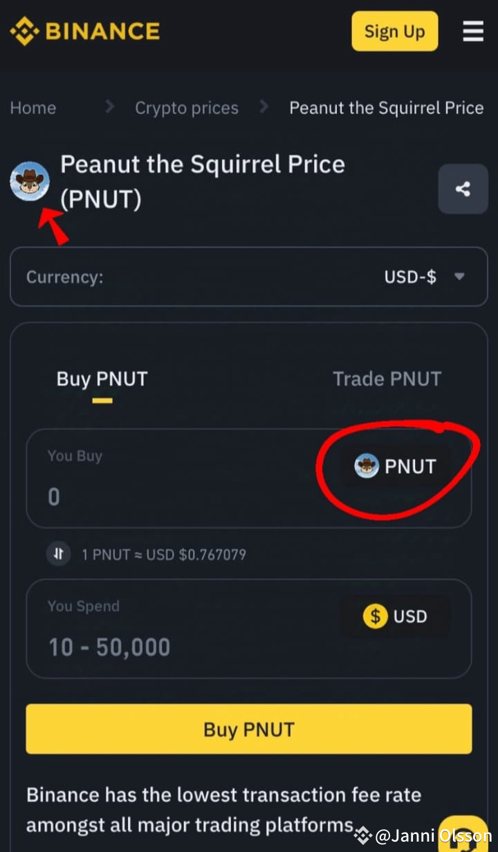 🌰 $PNUT : The Meme Coin Revolution is Here! 🔹 Why $PNUT | Janni Olsson ...