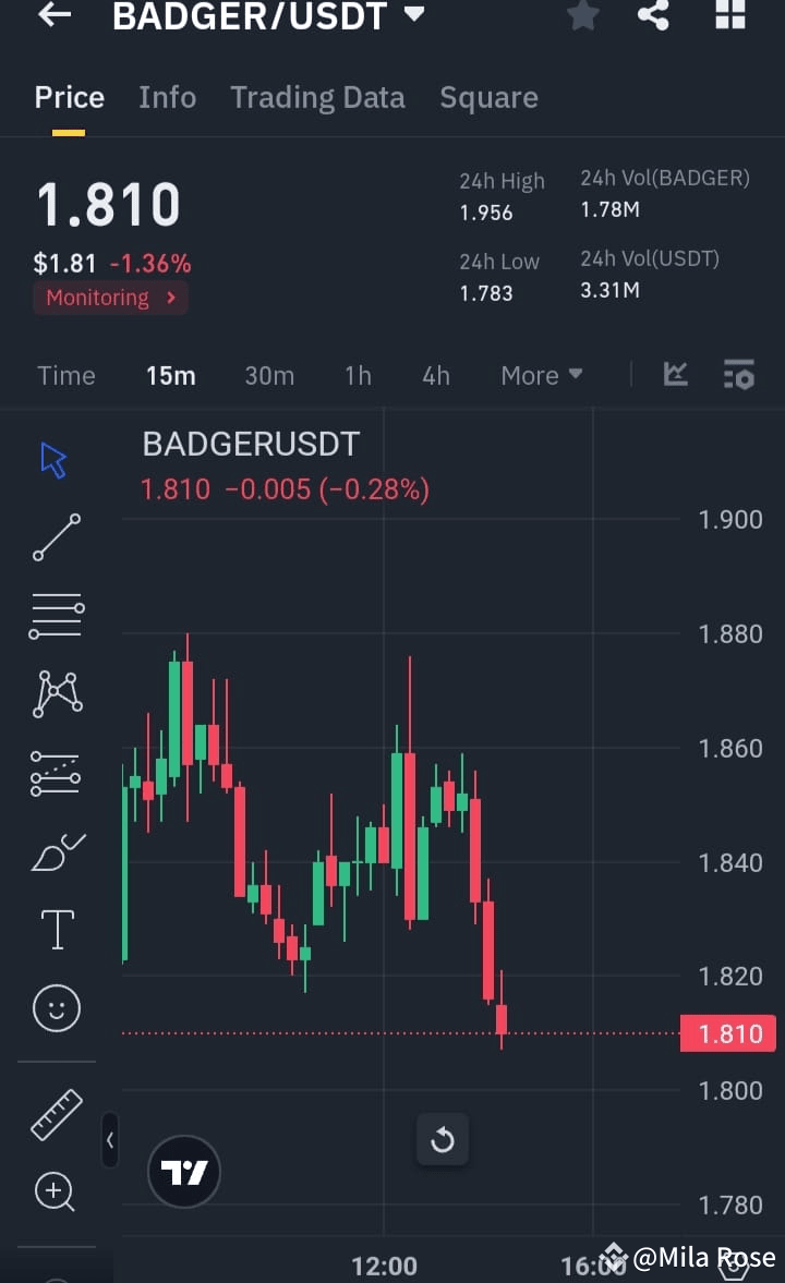 $BADGER /USDT Short Trade Setup:💯🔥 $BADGER is down -1.3 | Mila Rose on Binance Square