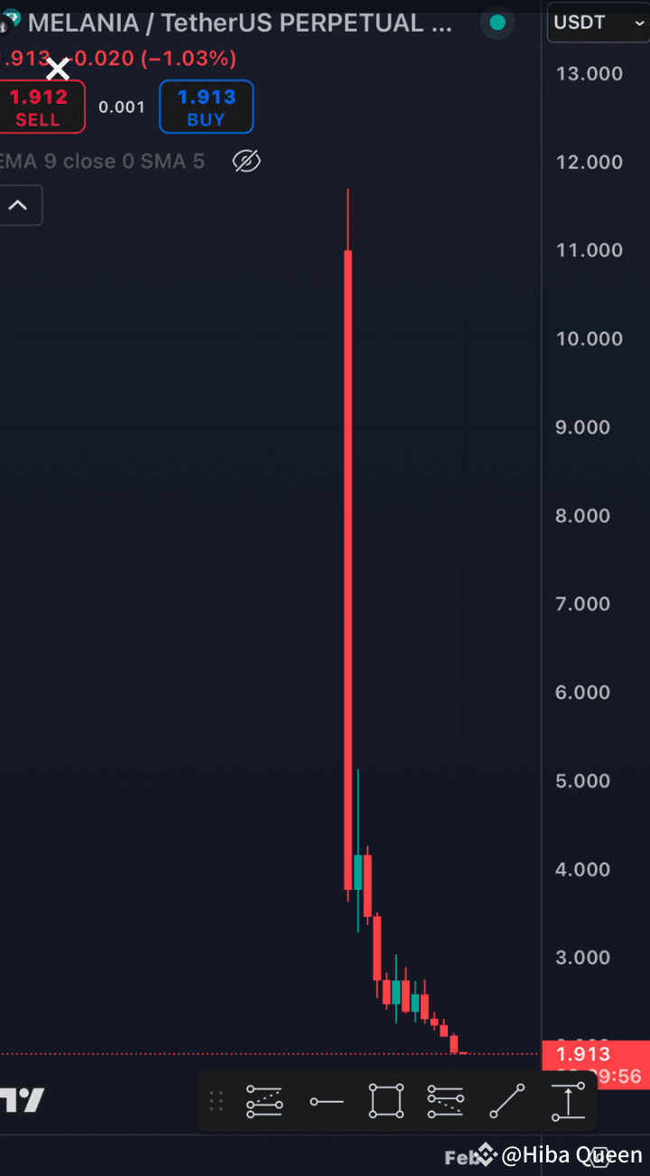 The first trap I encountered was the $TRUMP opportunity. I | Hiba Queen ...