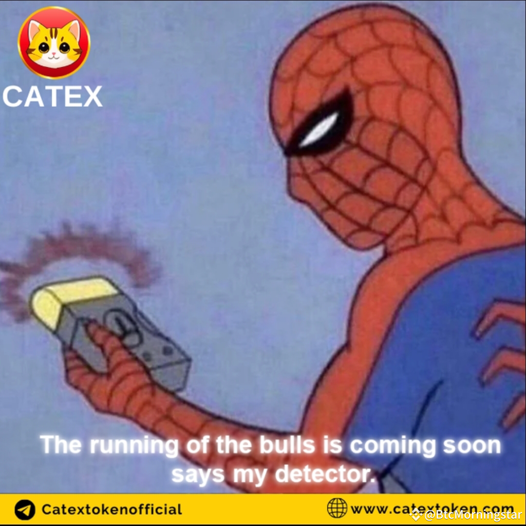 THERE IS GREAT INTEREST IN CAT MEME TOKENS, DO YOU THINK THE ...