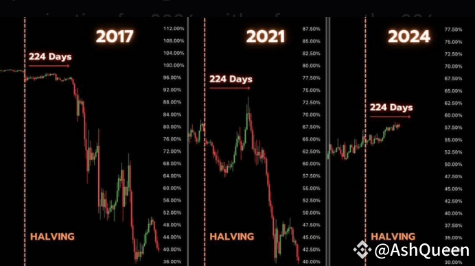 $BTC Bitcoin’s Pre-Halving Patterns: A Roadmap for 2024 | AshQueen on ...