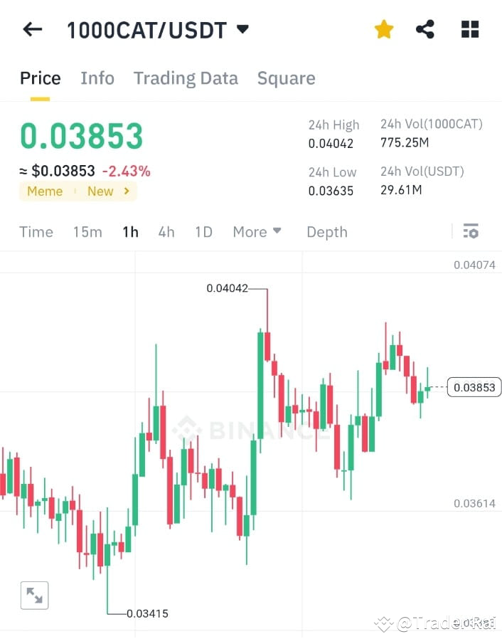🚀 $1000CAT /USDT Consolidation Phase: A Breakout is Brewing | Trader Rai on Binance Square
