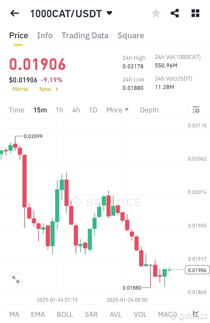 The $1000CAT /USDT pair is currently trading at 0.01906, dow | Rai123 on Binance Square