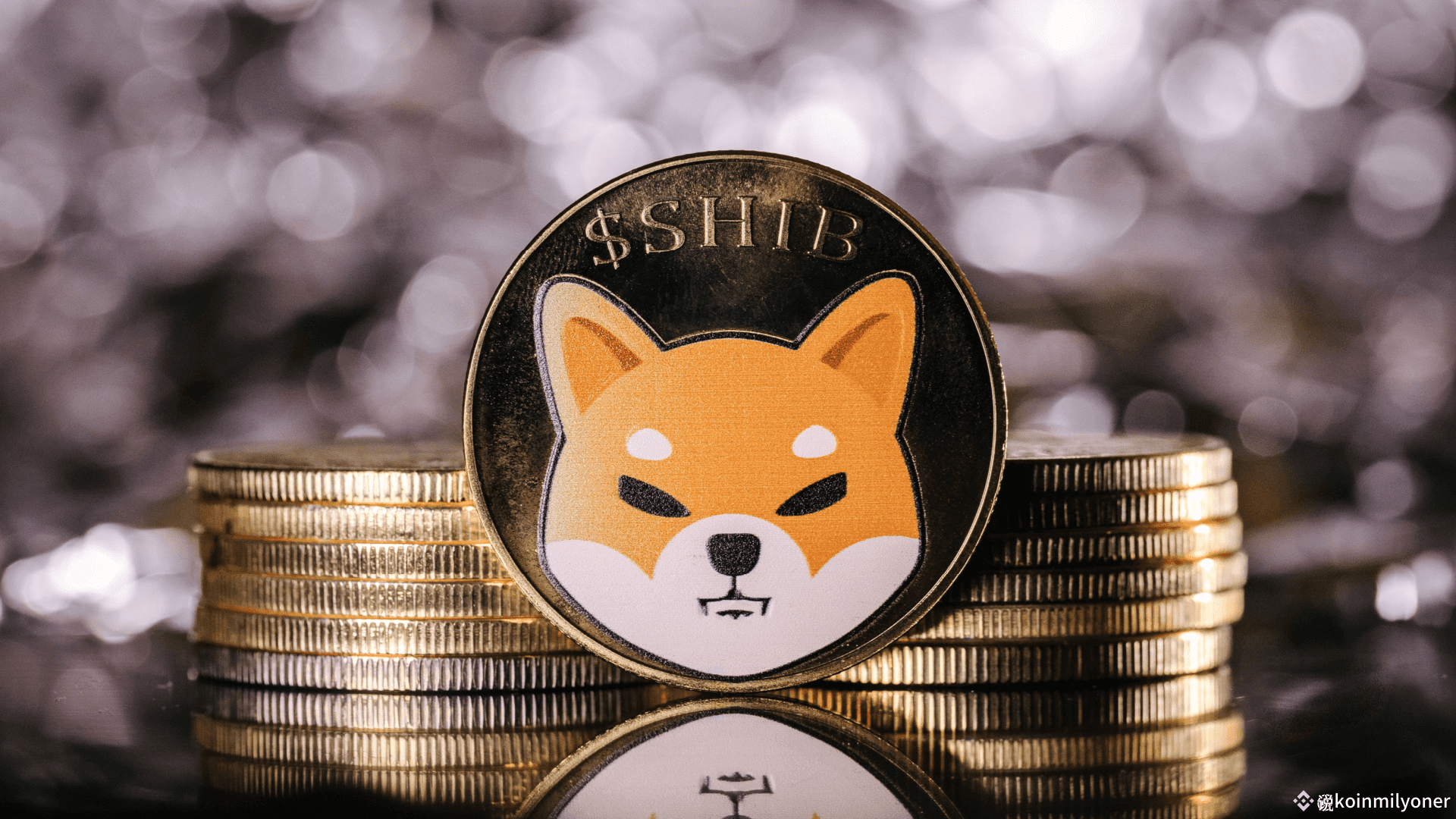As SHIB approaches $0.000015, Shiba Inu expects favorable re | koinmilyoner on Binance Square