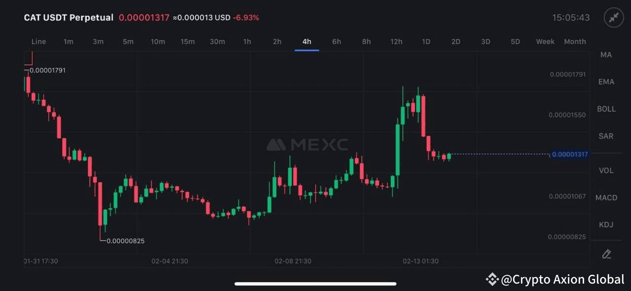 The Binance meme coin narrative is here—$1000CAT is leading | Crypto ...