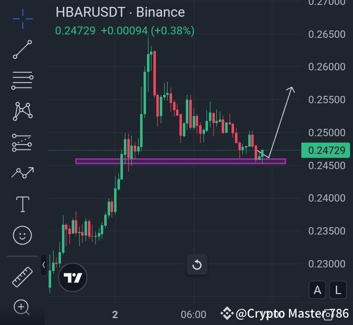 📈 $HBAR /USDT – Bull Run Alert 🚀 Current Price: $0.24729 | Crypto Master 786 on Binance Square