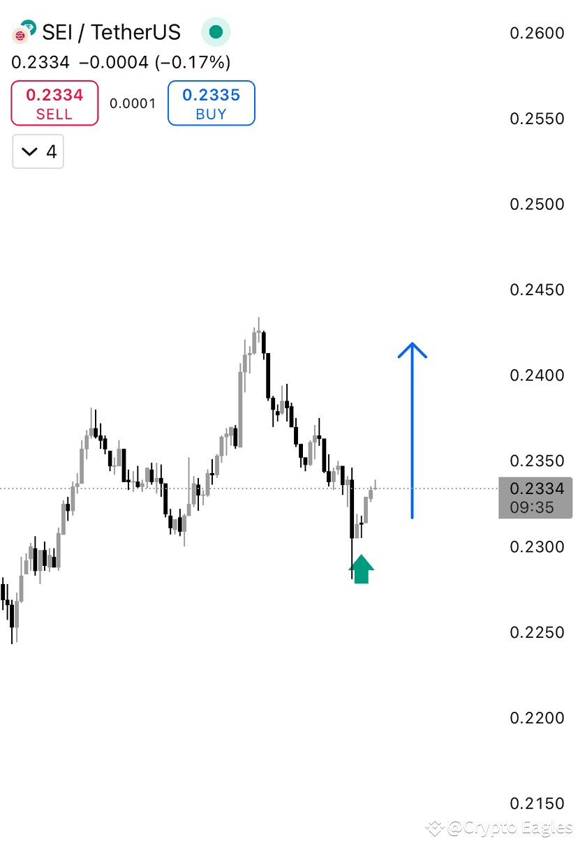 SEI/USDT Trade Setup – Potential Rebound $SEI is currently | Crypto Eagles on Binance Square