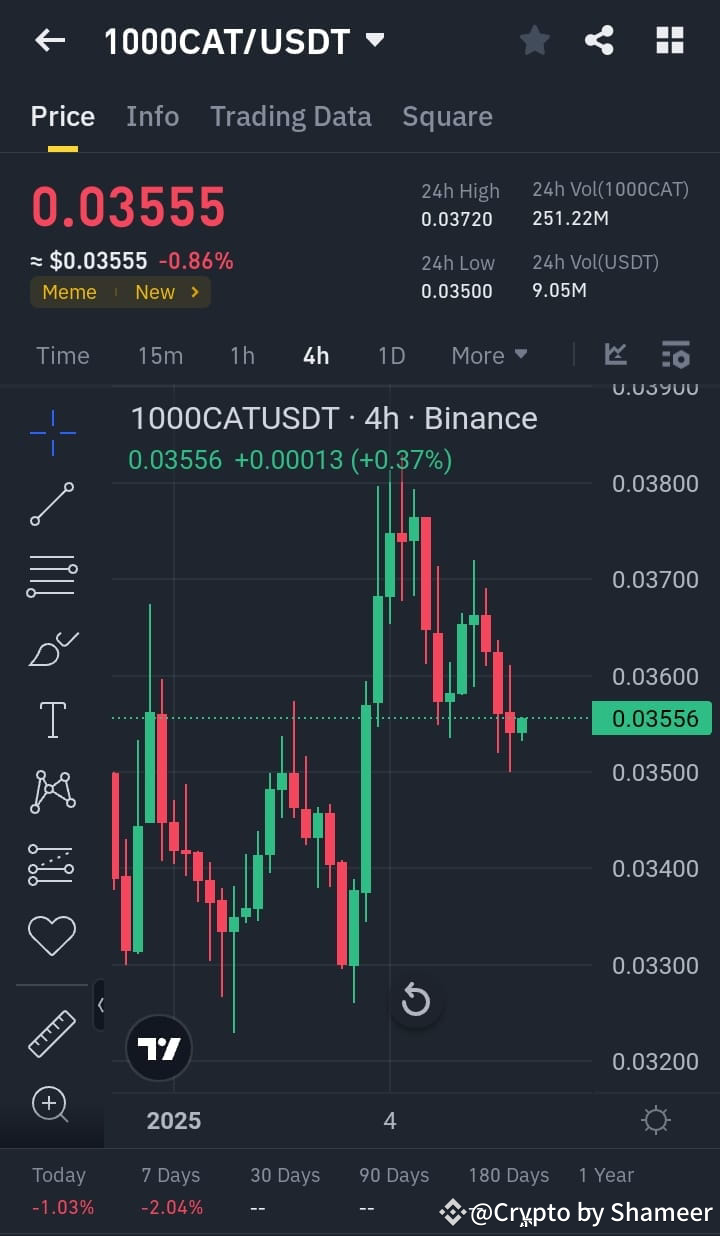 🐱$1000CAT / USDT Heating Up: Seize the Moment!🔥 Current Pr | Crypto by Shameer on Binance Square