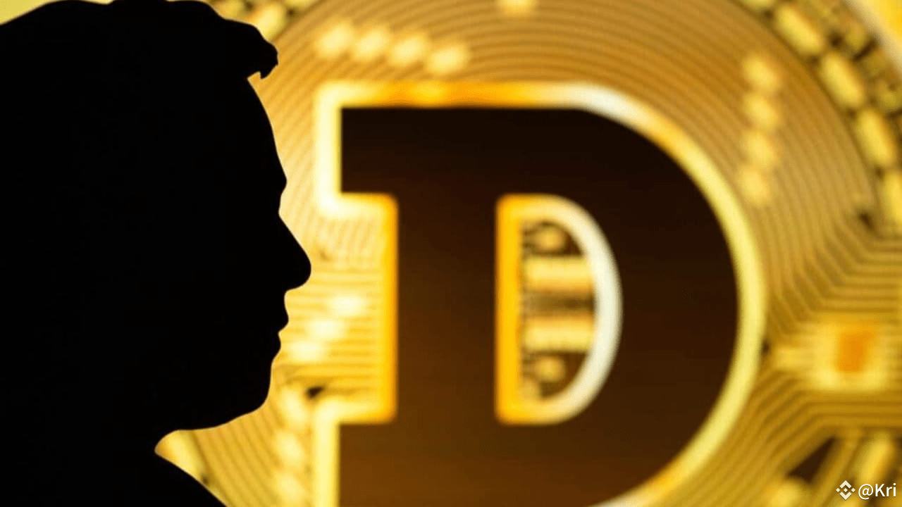 DOGE is crashing as Elon Musk clarifies Dogecoin’s role in US ...