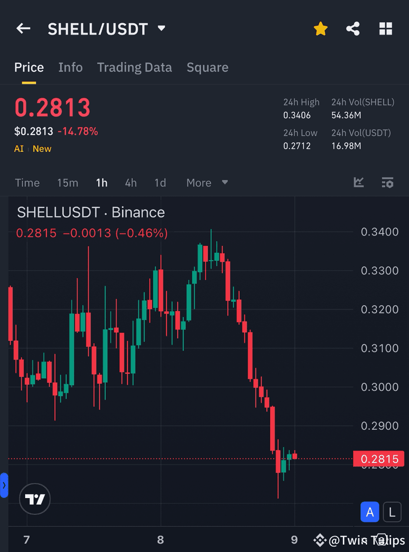 DOWNNNNNNNNNN! $SHELL /USDT CRASHING! 🚨 #SHELL is in fre | Twin Tulips on Binance Square