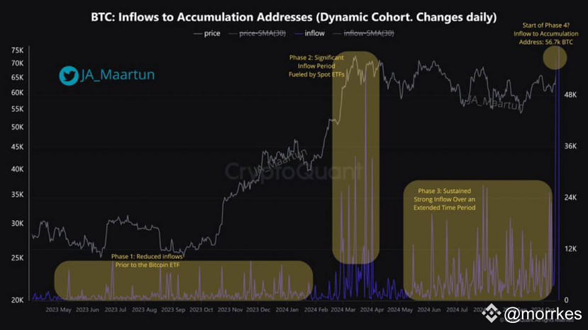 Inflow to accumulation addresses reached 56,700 BTC. Phase 4 | morrkes ...