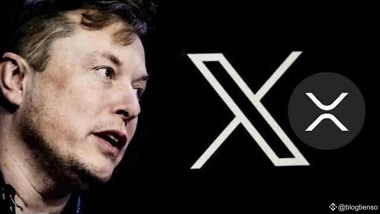 Elon Musk Reveals Shocking Truth About $XRP - You Won't Believe What He Said | blogtienso on ...