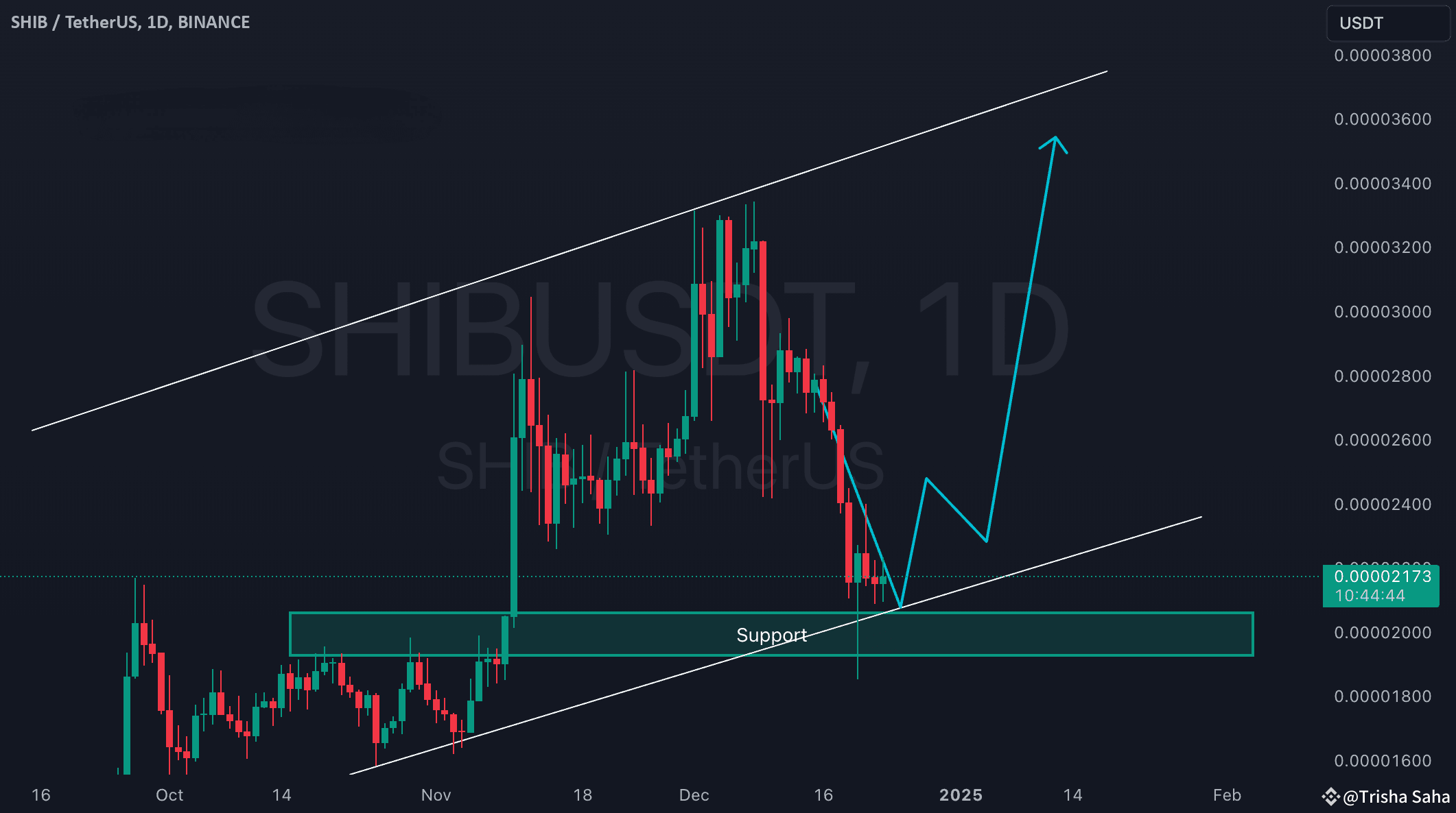 SHIB/USDT Chart Analysis💥 | Trisha_Saha on Binance Square