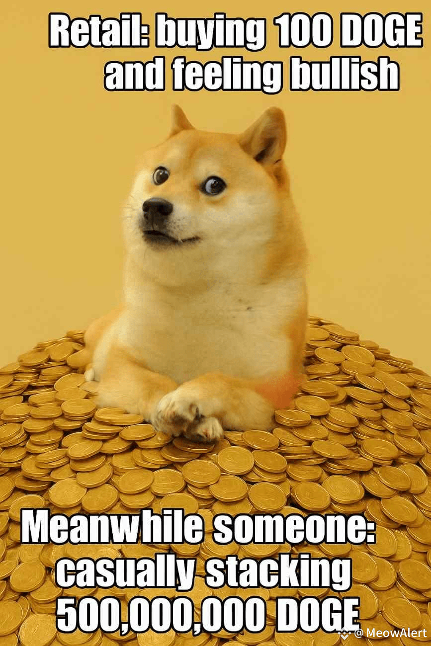 🚨 500M $DOGE Pulled Off the Market — Next Stop, 1B Dogecoi | MeowAlert ...
