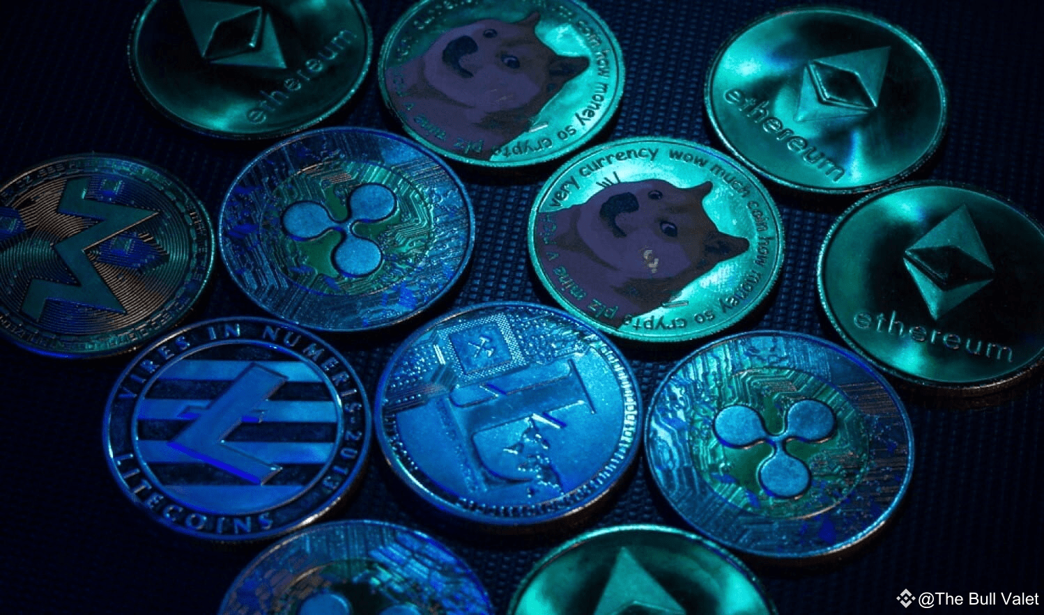 Is 2025 the Year of Altcoins? A Comprehensive Analysis The | Dynasty 加密 ...