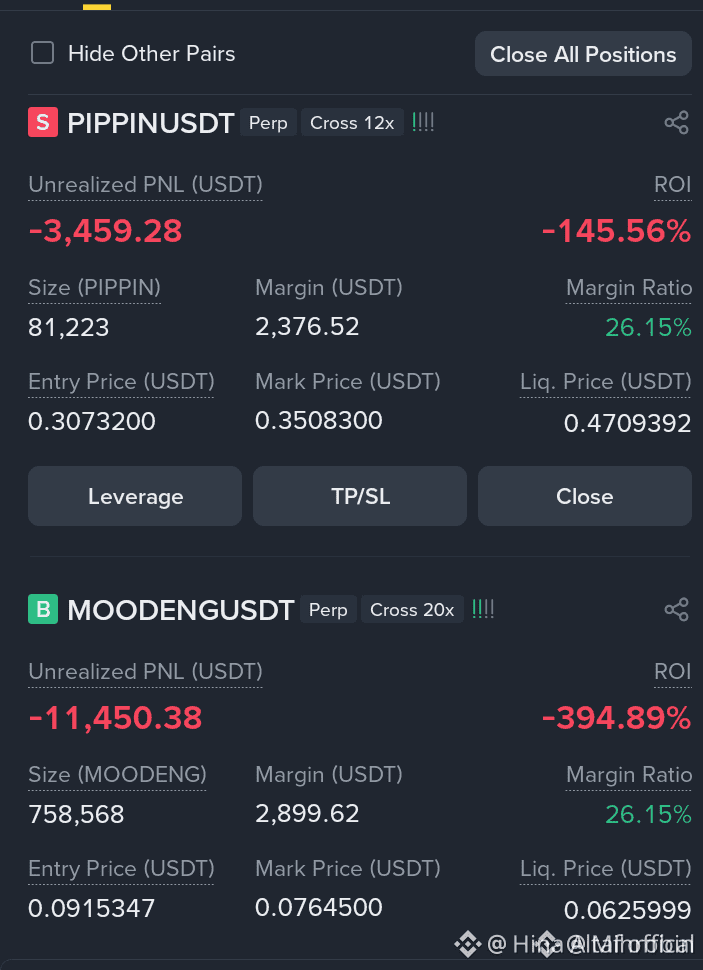 $PIPPIN $BDXN $MOODENG this three trade you will | poppy_ BNB on ...