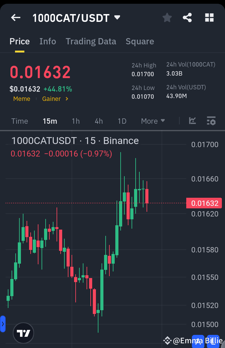1000CAT/USDT Trading Signal $1000CAT Entry Point: Buy | Emma Billie on Binance Square