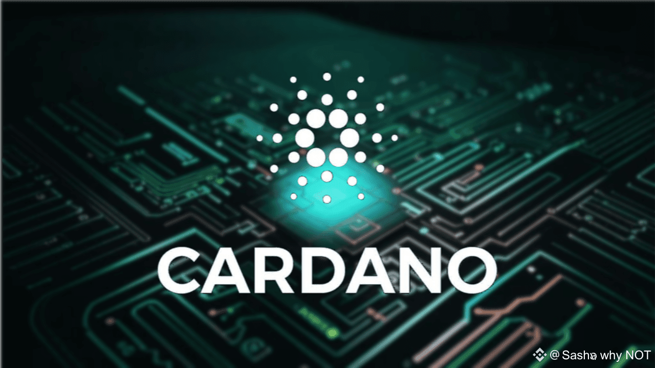 Bitcoin in DeFi on Cardano: a revolution or another experiment? | Sasha why NOT on Binance Square