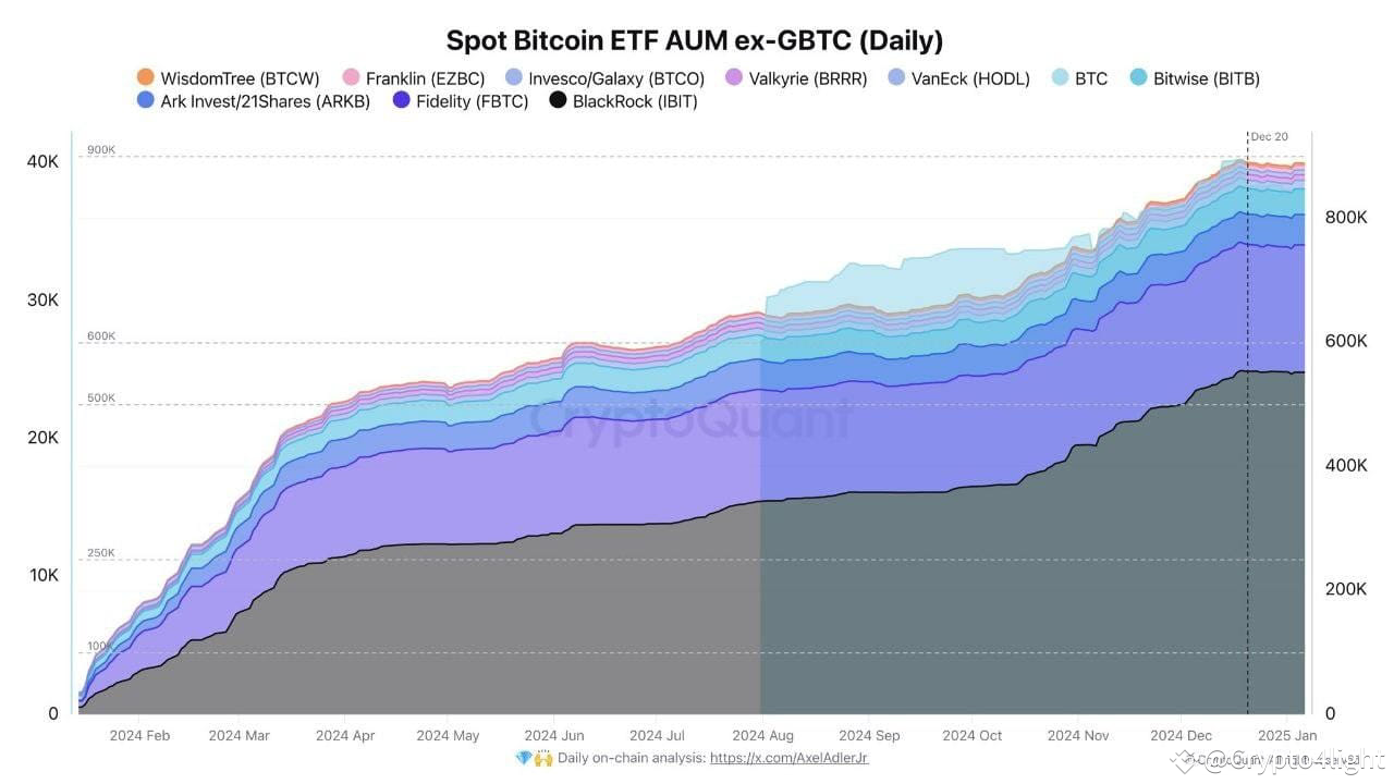 Outflow of Funds from US $BTC ETFs Since December 20: Holid ...