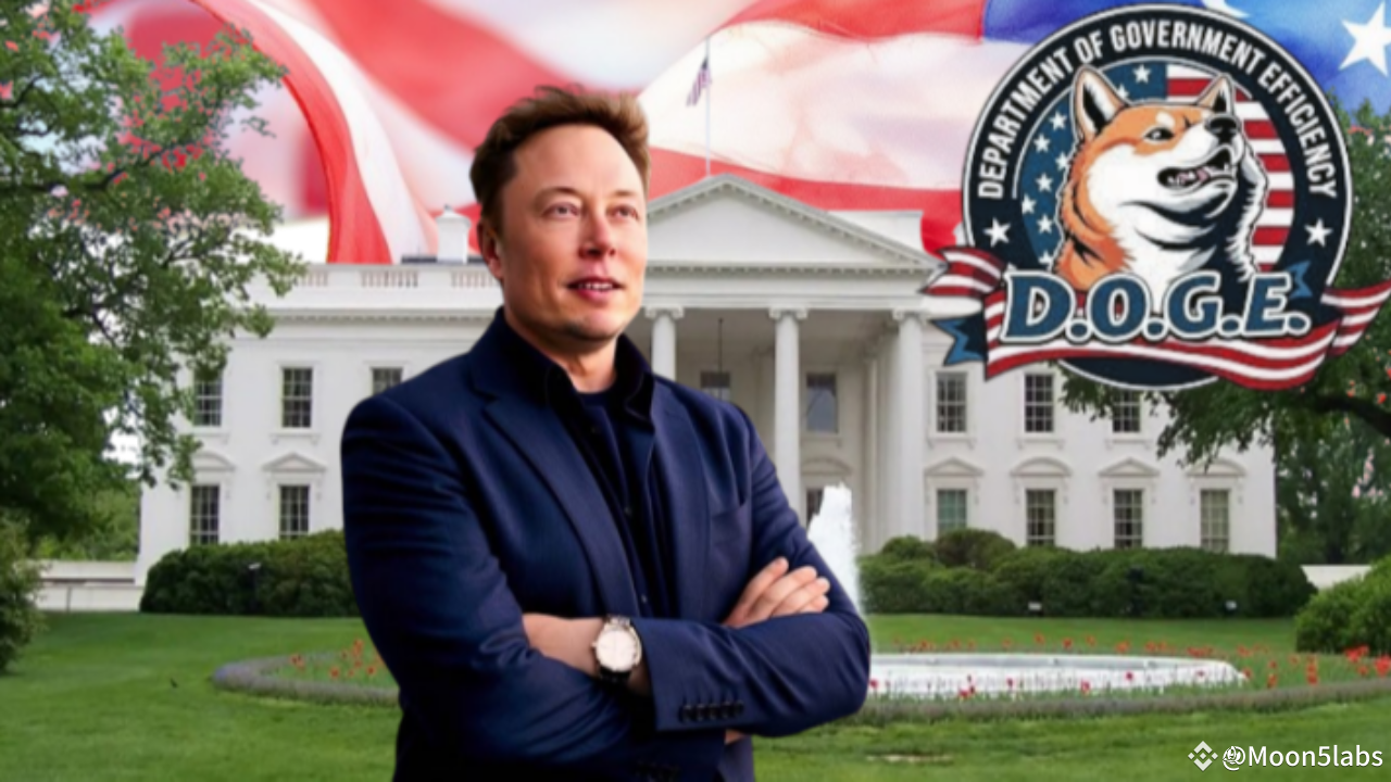 All DOGE Employees Resign in Defense of Federal System Integrity ...