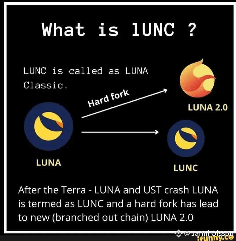 🌑 What is LUNC? – The Story of LUNA Classic After the Terr | Janni ...