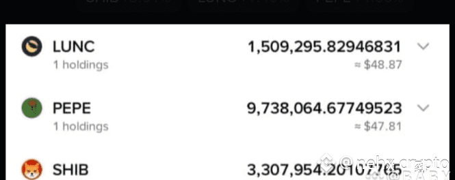 $LUNC $SHIB $PEPE /USDT BULLISH REVERSAL SETUP Technical | neha crypto ...