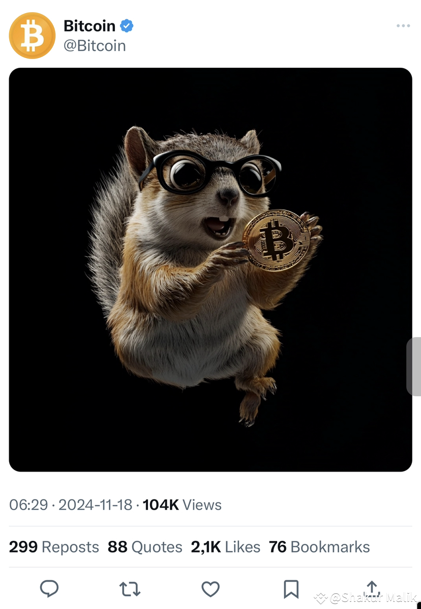 $PNUT How much $BTC does a bit squirrel bite if a bit squirr | Shakur Malik on Binance Square