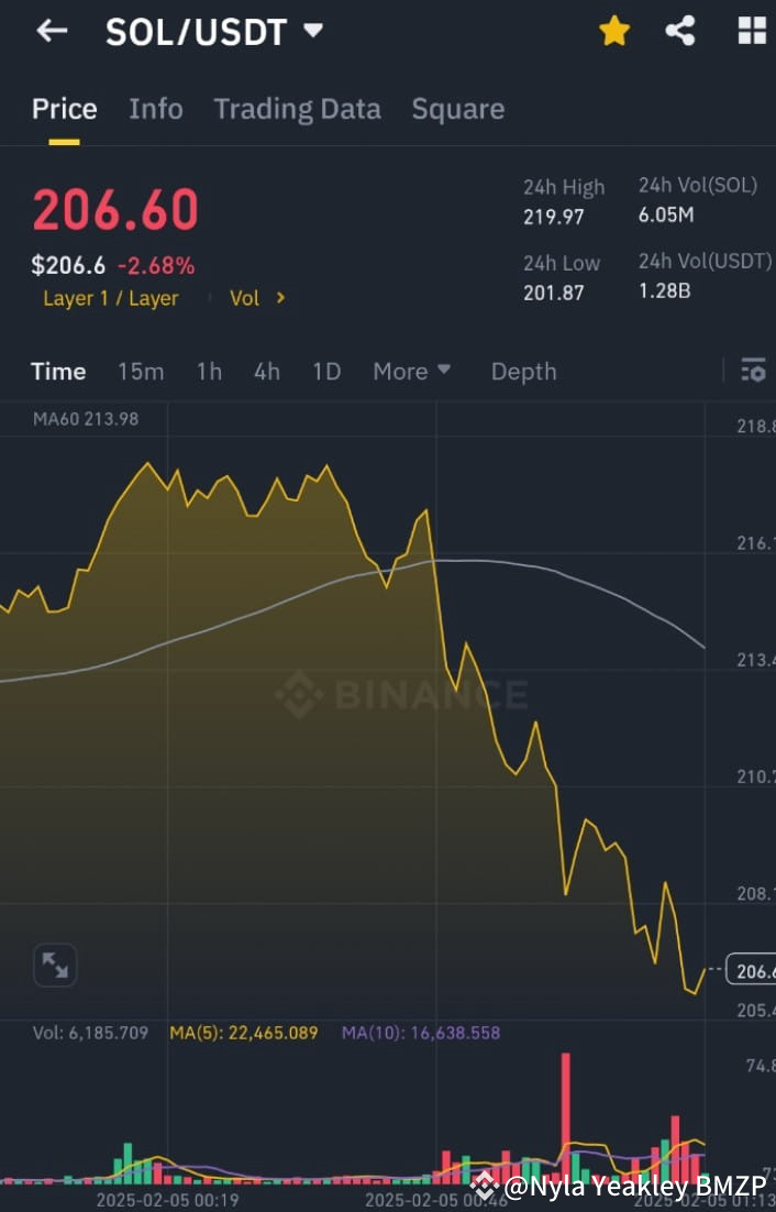 $SOL /USDT trading data on Binance. Here’s a quick breakdown | Nyla Yeakley BMZP on Binance Square