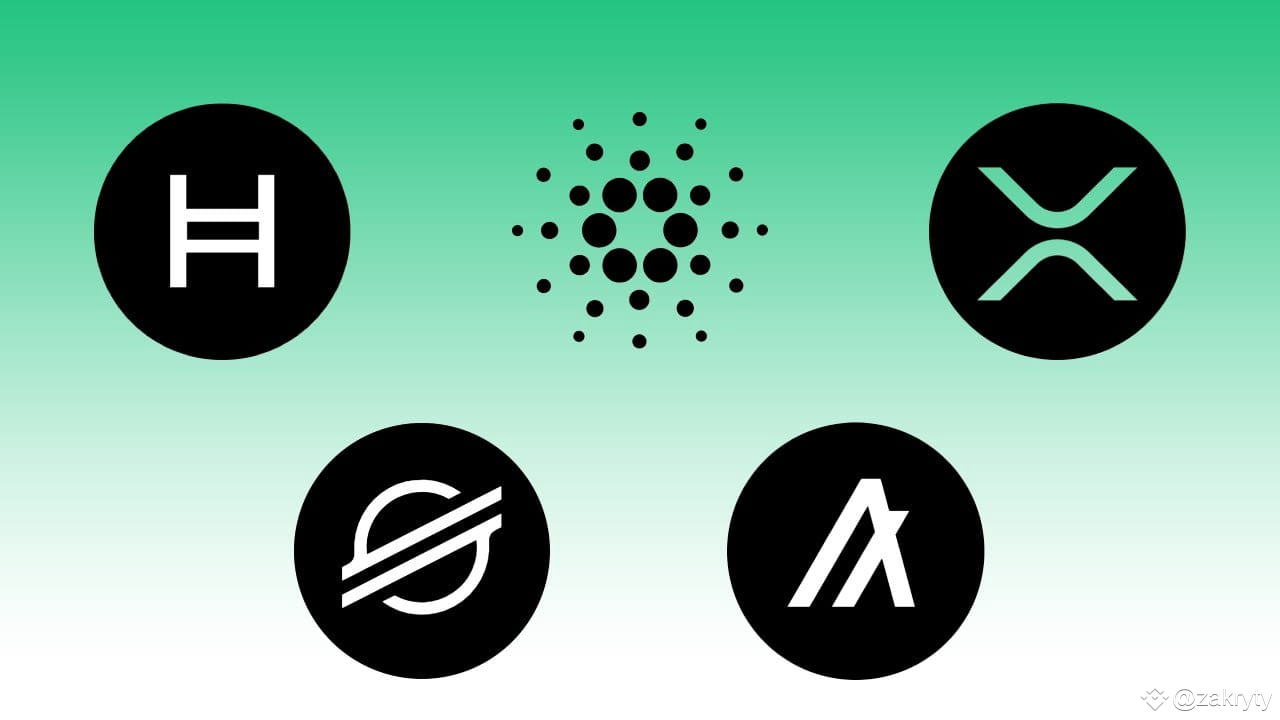 🔴 Choose only the best two coins from these five coins👇#XR | zakryty on ...