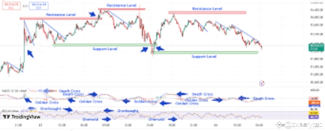 🚨$BTC TRADE SIGNALS ARE LIVE! | Will Yoy Ride the Wave or M | zxncrypto ...