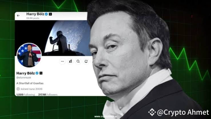 😱 Elon Musk changed the name of her X account to Harry Bolz | Crypto ...