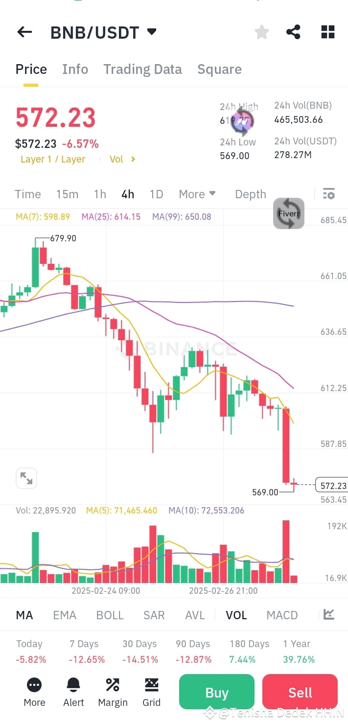 It looks like you are looking at the trading data for $BNB / | Tenisha ...