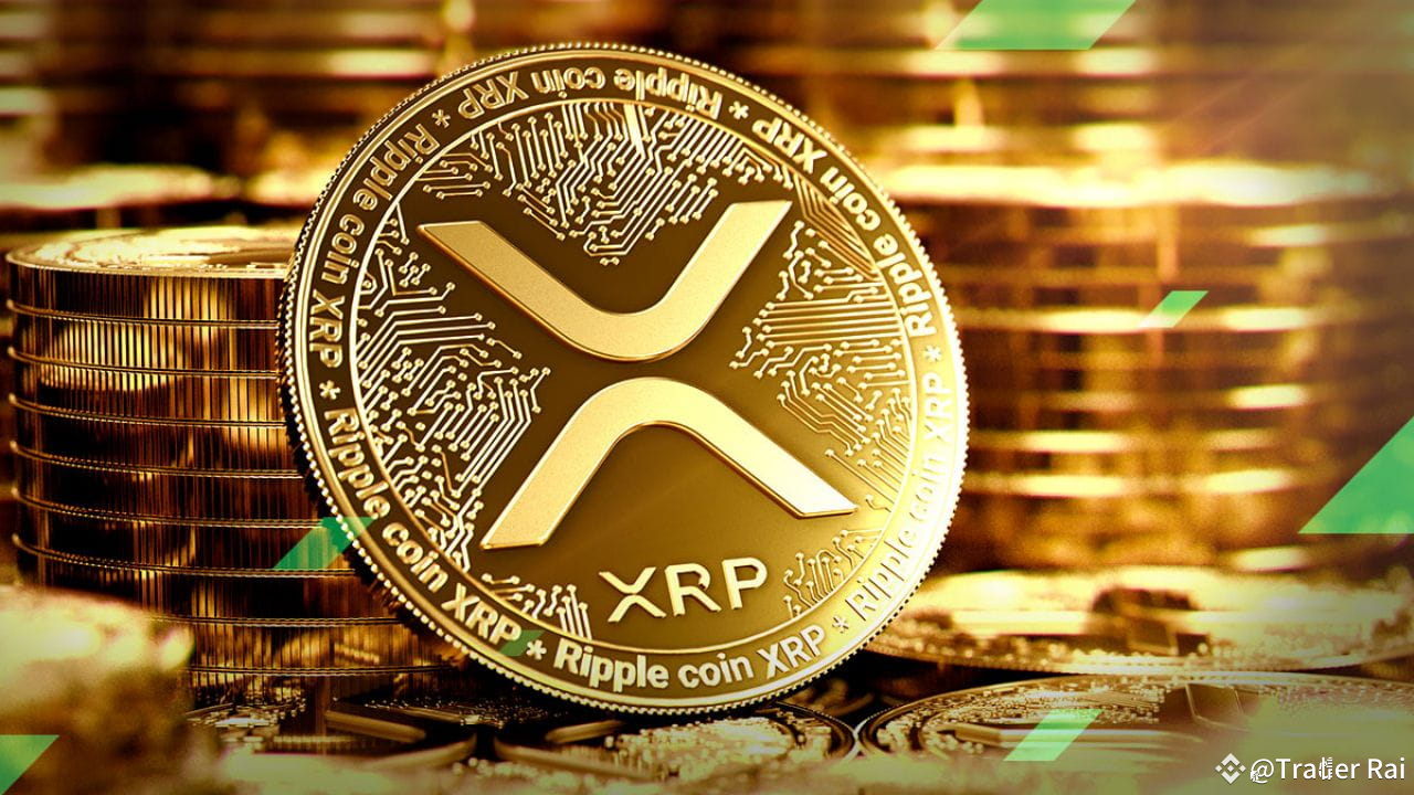Ripple Đóng Kế Hoạch IPO cho Năm 2025 – Vẫn Giữ Tư Nhân & Tập Trung Vào Tương Lai | Trader Rai ...