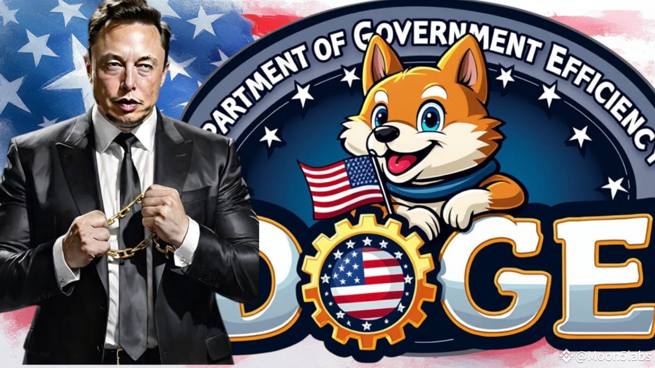 Elon Musk and DOGE: Everything You Need to Know About the Department of ...