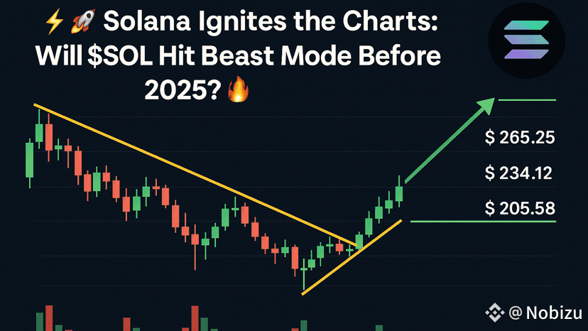 ⚡️🚀 Solana Ignites the Charts: Will $SOL Hit Beast Mode Before 2025? 🔥📈 ...